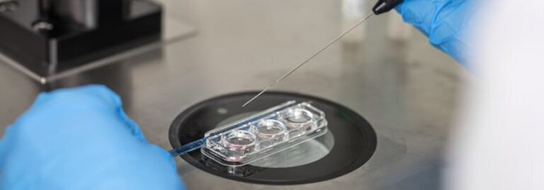 MICRO INJECTION (ICSI) - Nova Fertil IVF
