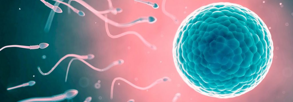 Azospermi Nedir, Başarı Oranı, Tedavisi-Novafertil Tüp Bebek